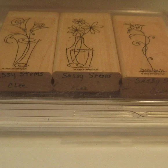 Stampin' Up! | Office | 206 Stampin Up Sassy Stems Retired Rare Htf ...